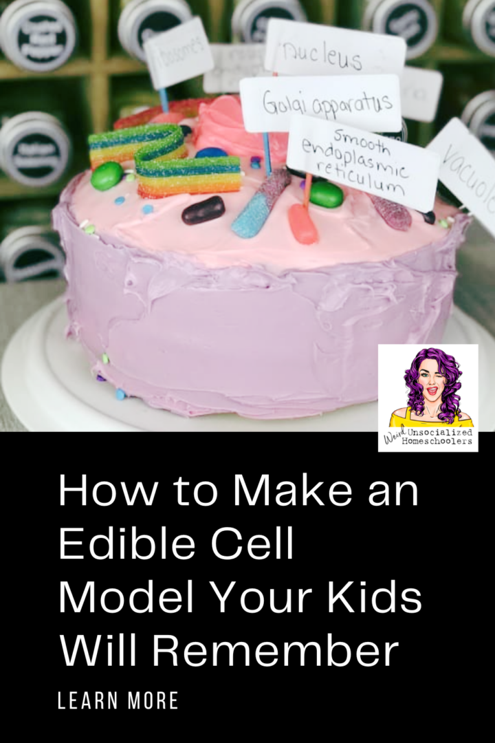 How to Make an Edible Cell Model Your Kids Will Remember - Weird ...