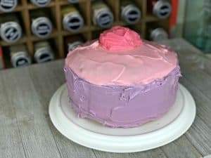 How to Make an Edible Cell Model - Weird, Unsocialized Homeschoolers