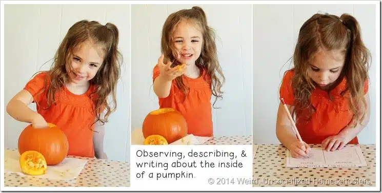 Parts of a Pumpkin Craft + Activity {Free Printable} - Weird ...