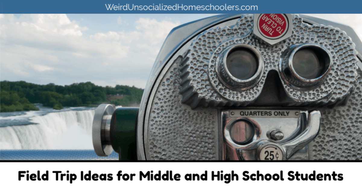 Field Trip Ideas for Middle and High School Students - Weird ...