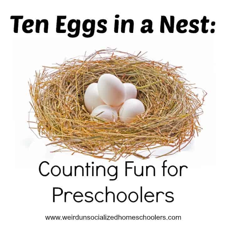 Ten Eggs in a Nest Counting Fun for Preschoolers - Weird, Unsocialized ...