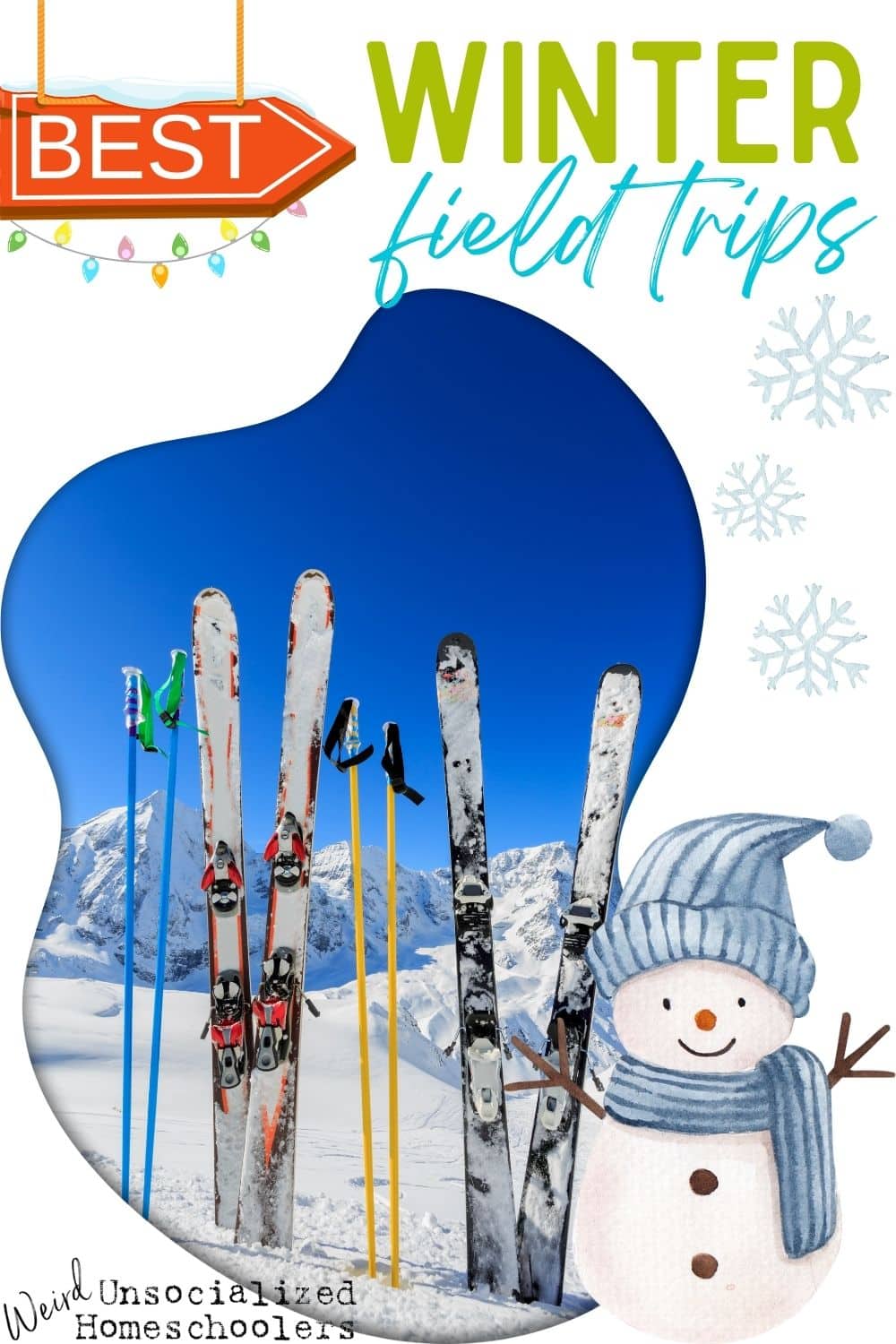 10+ Best Fun Winter Field Trips Ideas - Weird, Unsocialized Homeschoolers