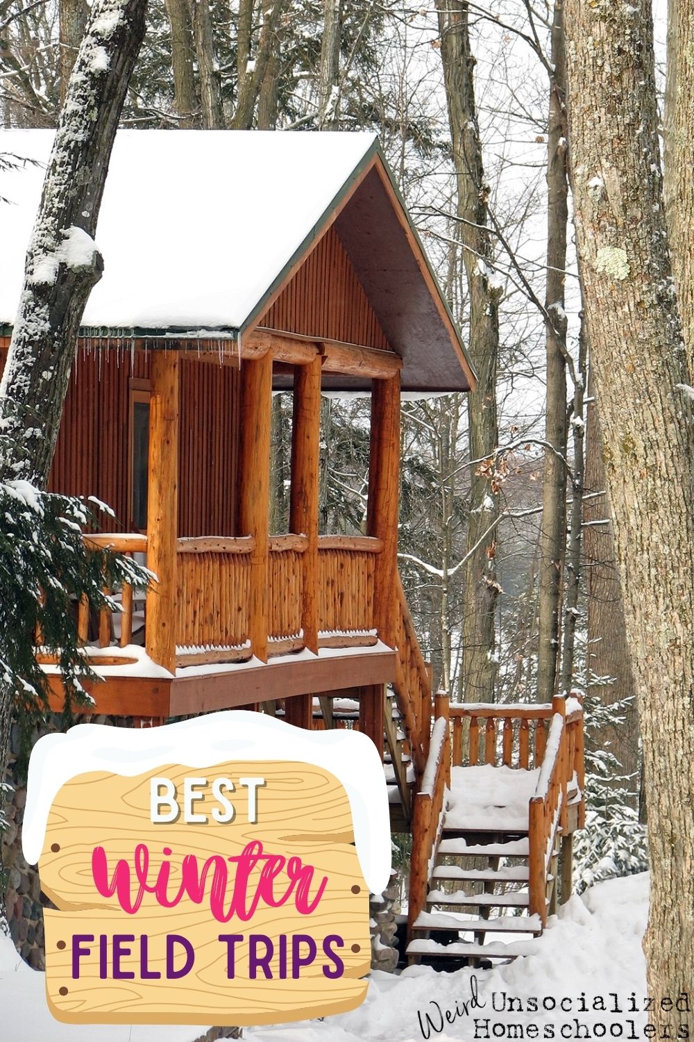 10+ Best Fun Winter Field Trips Ideas - Weird, Unsocialized Homeschoolers