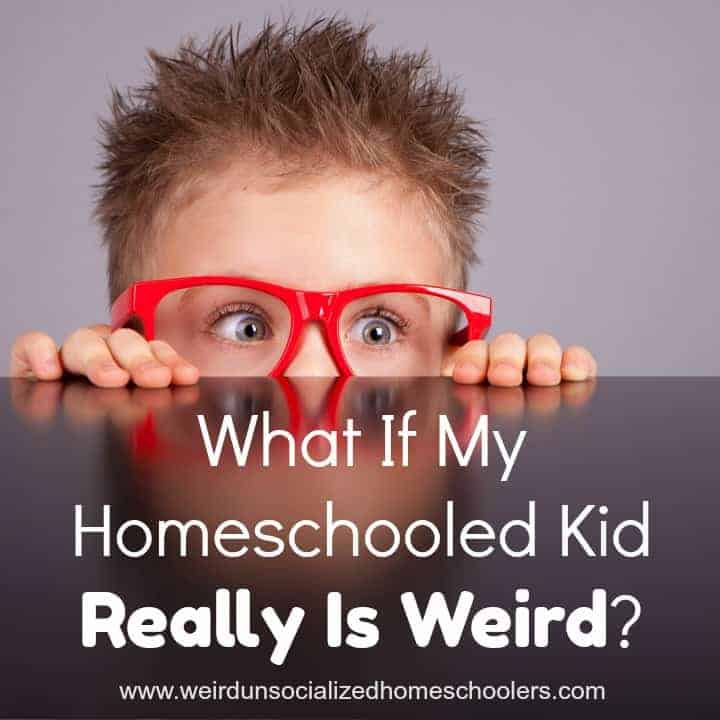 What If My Homeschooled Kid Really Is Weird? - Weird, Unsocialized ...