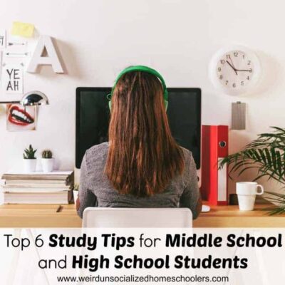 5 Ways to Encourage Independent Learning - Weird, Unsocialized ...