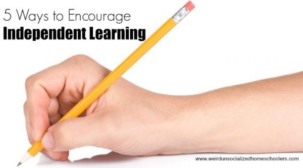 5 Ways to Encourage Independent Learning - Weird, Unsocialized ...