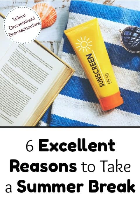 6 Excellent Reasons to Take a Summer Break - Weird, Unsocialized ...