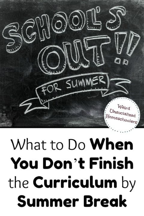 What to Do When You Don't Finish the Curriculum by Summer Break - Weird ...