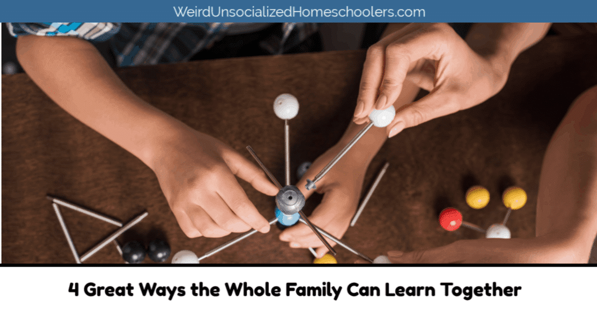 4 Fantastic Ways the Whole Family Can Learn Together - Weird ...