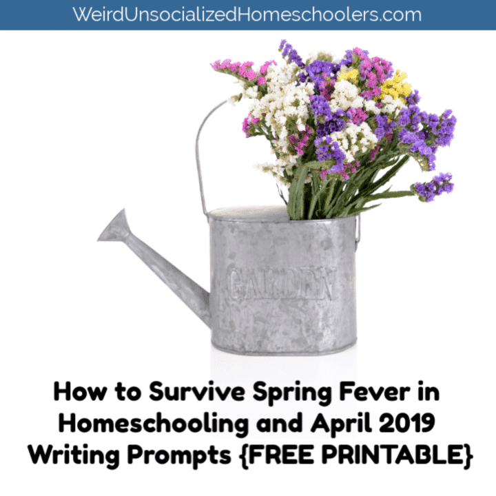 How to Survive Spring Fever in Homeschooling and April 2019 Writing ...