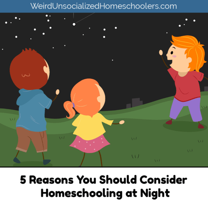 5 Reasons You Should Consider Homeschooling at Night - Weird ...