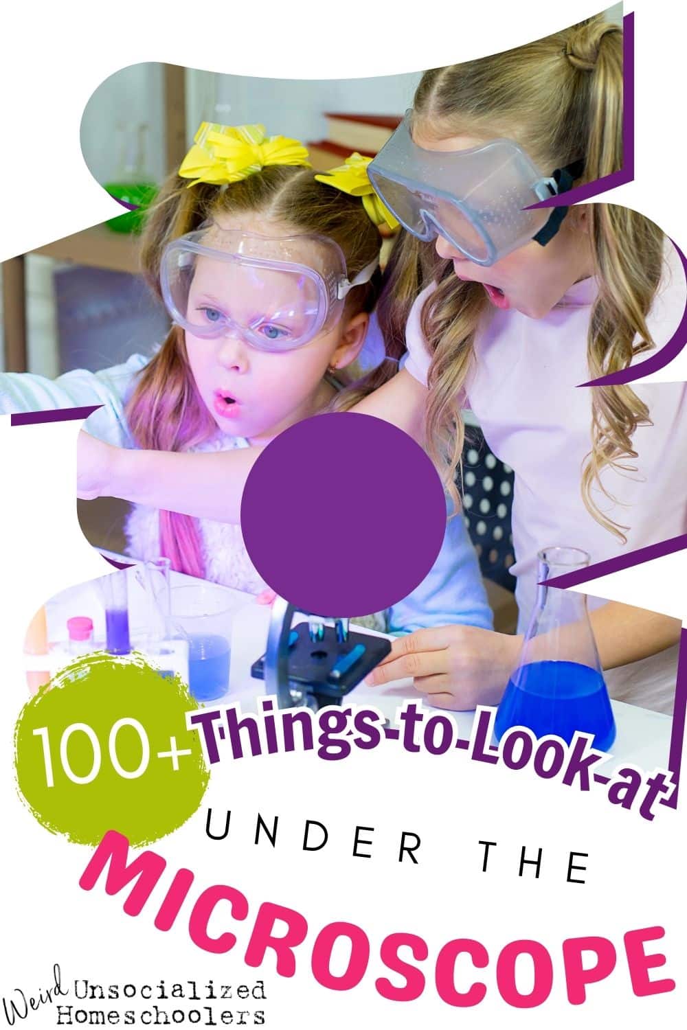 100+ Free Things to Look at Under the Microscope (That You Already Have ...