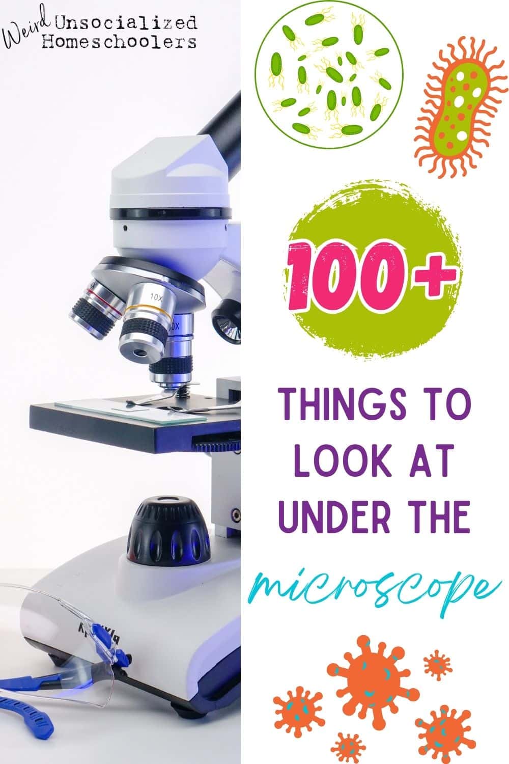 100+ Free Things to Look at Under the Microscope (That You Already Have ...
