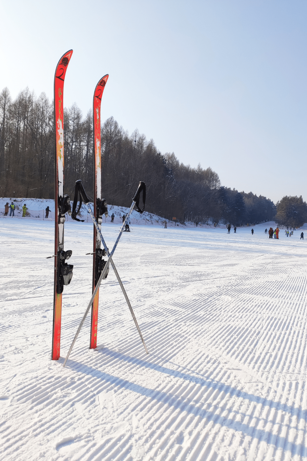 10+ Best Fun Winter Field Trips Ideas - Weird, Unsocialized Homeschoolers