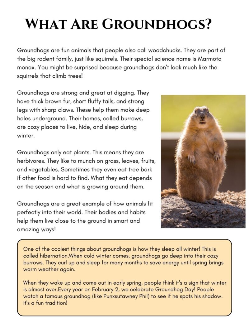 Labs of Wonder: Groundhogs Unit Study - Weird, Unsocialized Homeschoolers