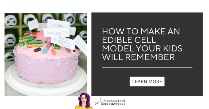 How to Make an Edible Cell Model Your Kids Will Remember - Weird ...
