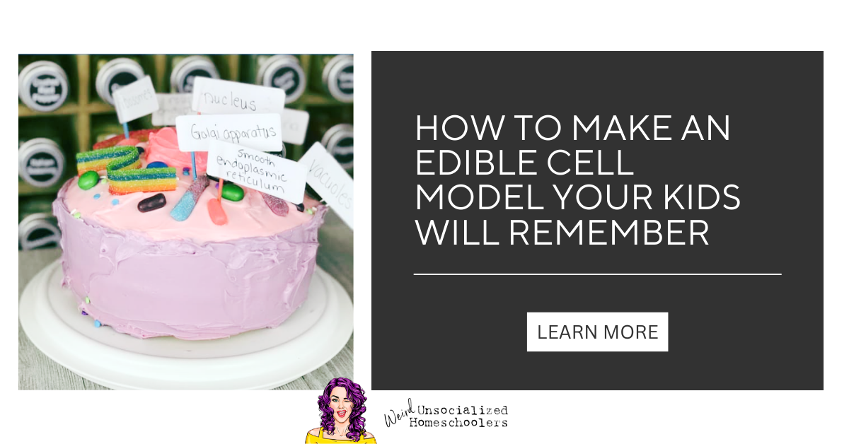 How to Make an Edible Cell Model Your Kids Will Remember - Weird ...